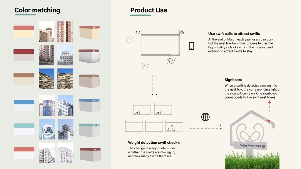Beijing Swift Conservation - TianShuo Zhao (ivy)